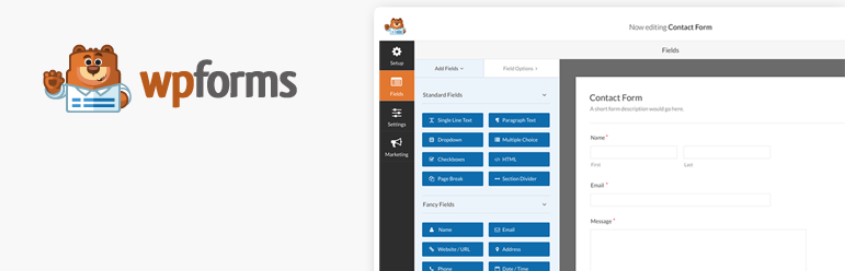 10+ Rekomendasi Plugin Form WordPress Terbaik