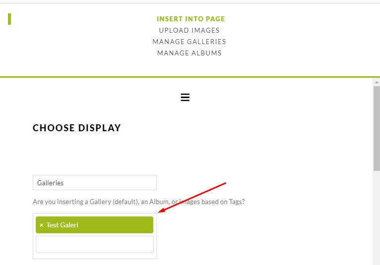 Termudah, Cara Membuat Galeri Foto di WordPress